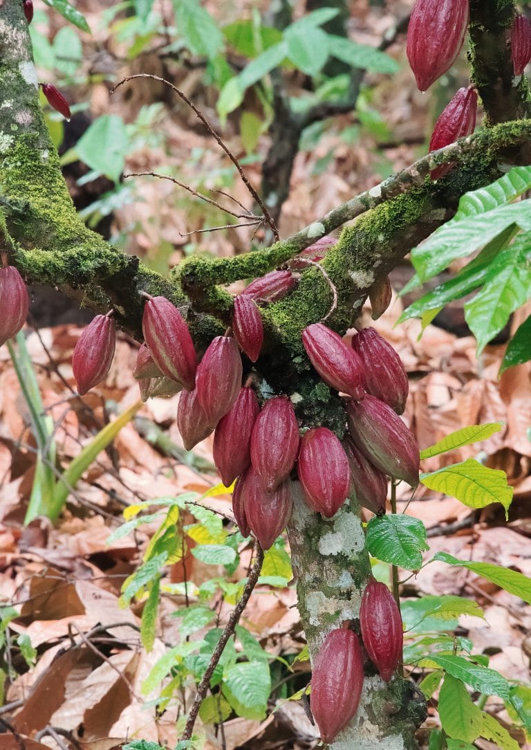 Who should take this course?